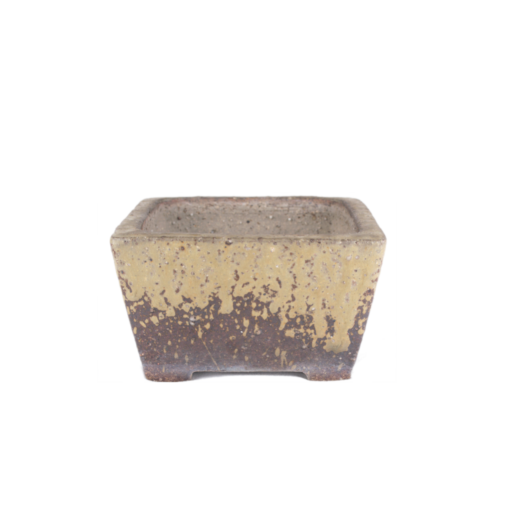 Cream glazed square cascade shohin bonsai pot by Suishoen - bonsaipots.eu